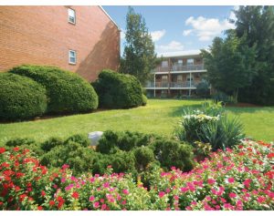 Apartment Pictures and Photo Gallery | Colonial Point